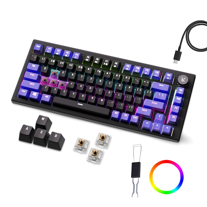 Hive75 Black - Purple Wired Gaming Keyboard – Kreo