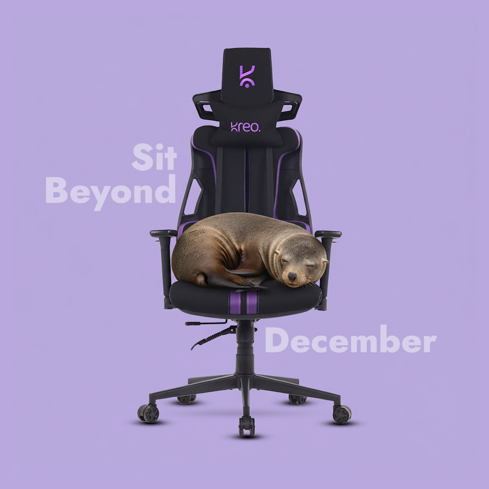 Cirrus Ergonomic Chair – Kreo