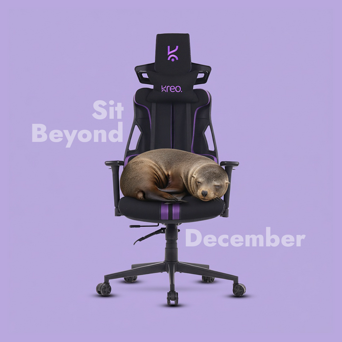 Cirrus Ergonomic Chair – Kreo